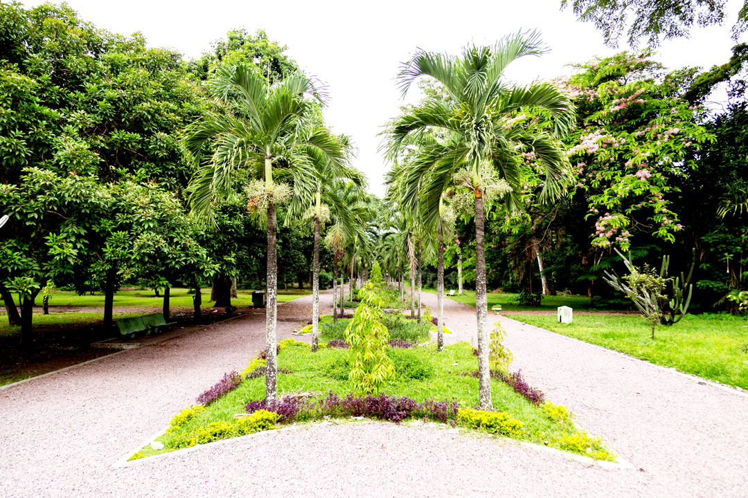 The 10 places to absolutely visit in Kinshasa - LEON HOTEL KINSHASA